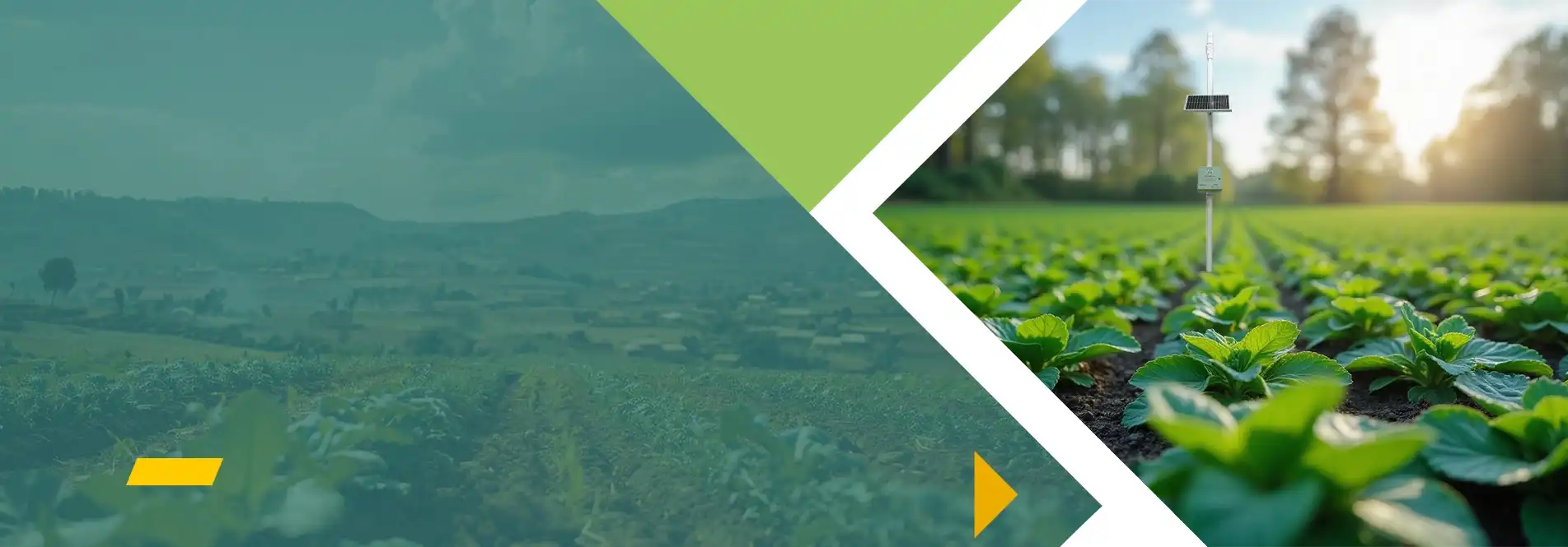 e-CROP - Smart Farming Technology for Precision Agriculture