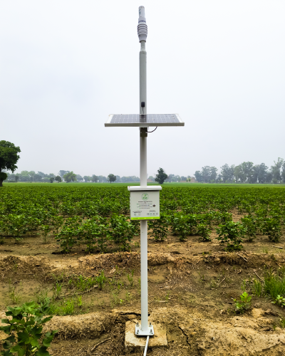 Smart Farming Solutions for Modern Agriculture | eCrop