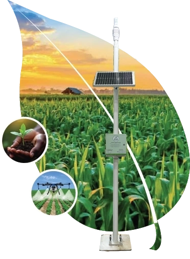 Smart Farming Solutions for Modern Agriculture | eCrop